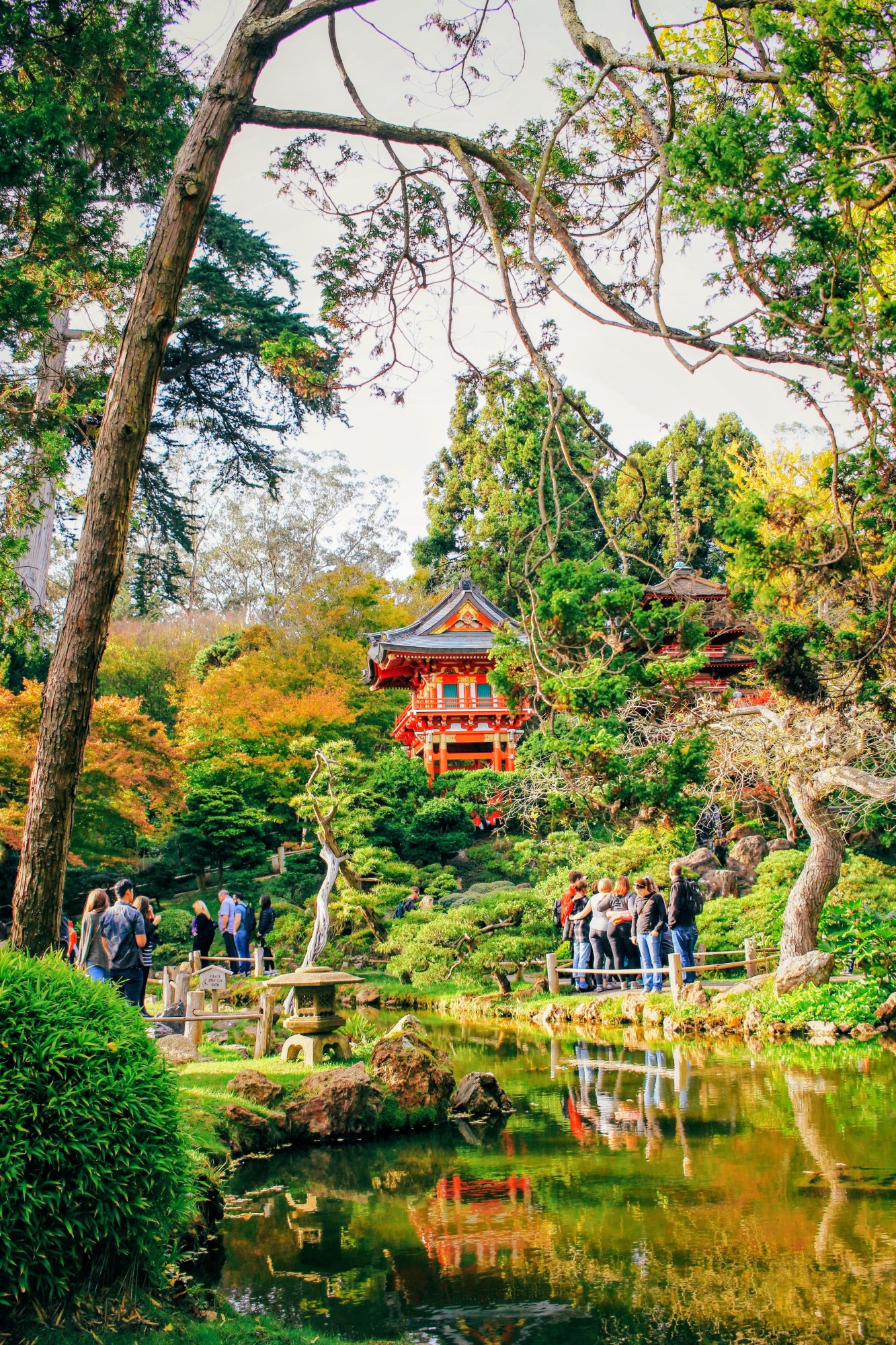 Le jardin de thé japonais, un lieux resplendissant de sobriété